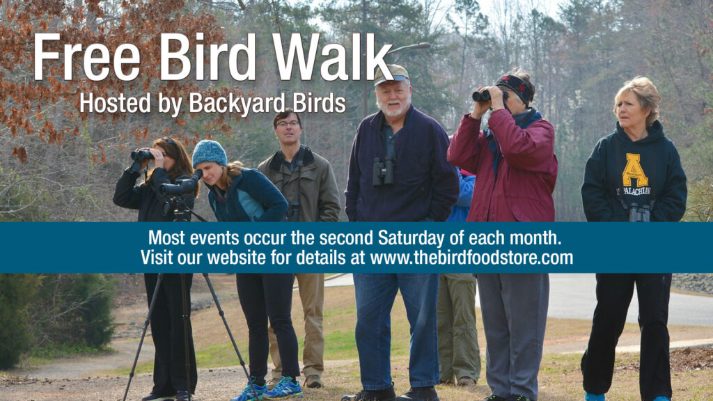 Bird Walk at Colonel Francis Beatty Park with Tony Lombardino ...
